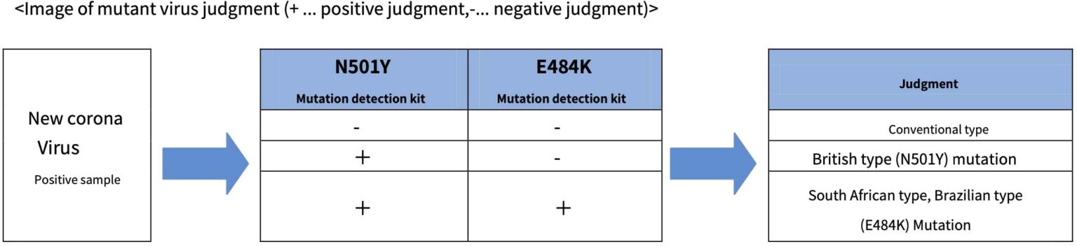 New Coronavirus "N501Y" "E484K" Mutation Detection Kit Released British ...