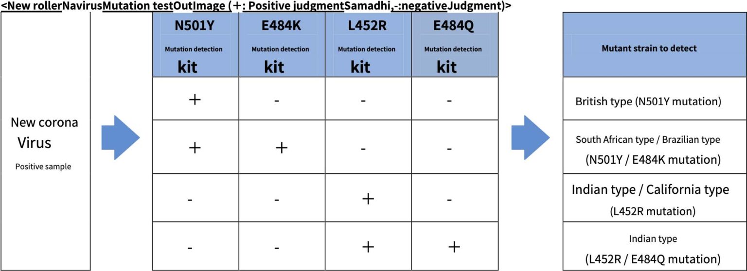 New Coronavirus Mutant Strain Detection Reagent - Fuji Addict
